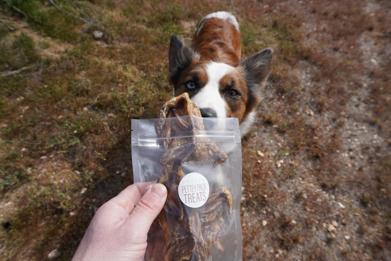 Quail Halves – Pettey Pack Treats